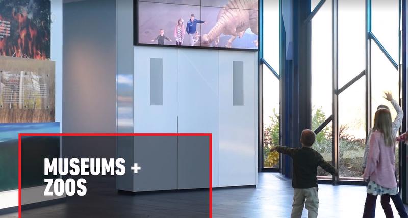 Museum and Zoo and Art Exhibit Insights | Dimensional Innovations